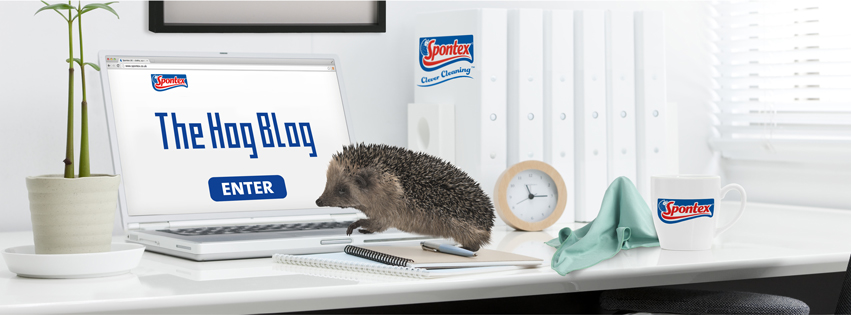 Spontex UK - cloths, sponges, scourers, gloves and bodycare