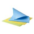 Specialist Sponge Cloths - Spontex